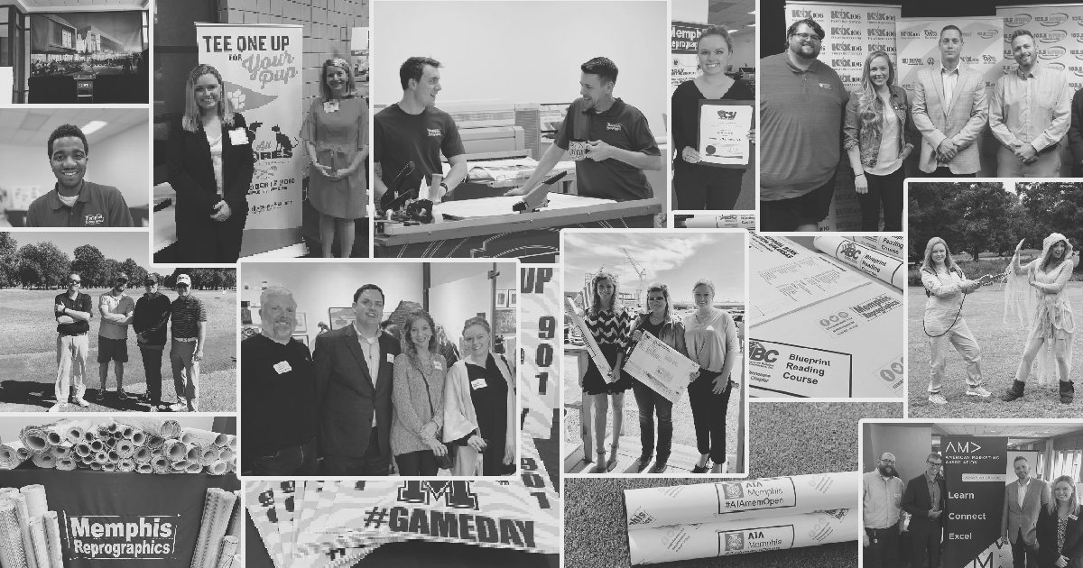 2019: A Schematic Review